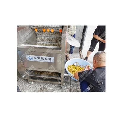 New Domestic Goose Brush Egg Cleaning Machine Chicken Eggs Washer Ce Certificate