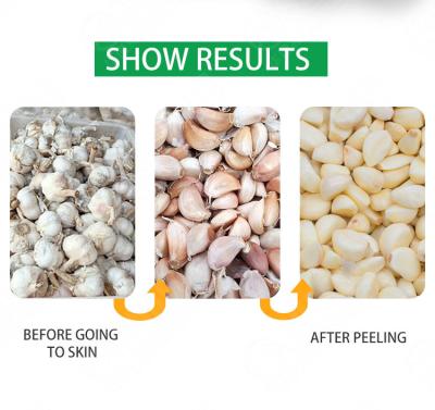 China China Automatic Garlic Processing Machine Garlic Peeler Machine Processing Garlic Peeling Machine for sale