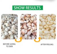 China Garlic Peeler Machine Garlic Separating Machine Garlic Peeling Machine for sale