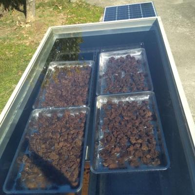 China Brand New Solar Fish Drying Machine Making Dry Fruit Machine With High Quality for sale
