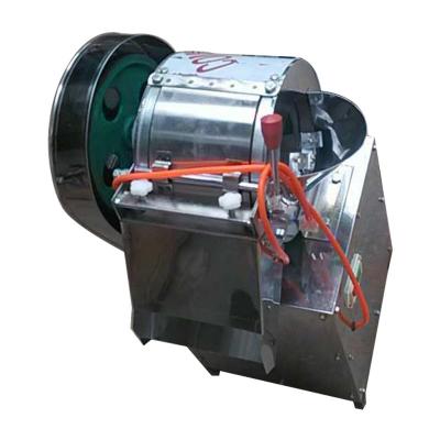 China New Design Vertical Hotels Fruits Single Head Vegetable Cutting Machine for sale