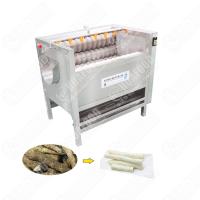 China High Efficiency Automatic Potato Peeling Machine Dates Washing Machine for sale