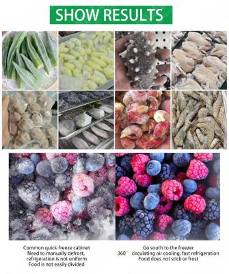 China Multifunctional Spiral Instant Iqf Freezing Machine Potato For Wholesales for sale