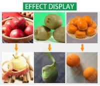 China Multifunctional Peeler Fruit Peach Persimmon Orange Melon Apple Mango Peeling Machine for sale