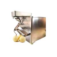 China Industrial Fruit mango pulp processing peeling machine Pineapple apple juice extractor machine Passion fruit pulping machine for sale