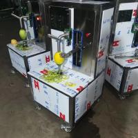 China Automatic Industrial fresh mango pulp juice paste beverage making machine mango processing production line for sale