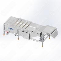China Customizable Vegetable Fruit Washing Machine Appliances for sale
