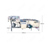 China Customizable Vegetable Fruit Washing Machine Appliances for sale