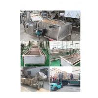 China Customizable Vegetable Fruit Washing Machine Appliances for sale