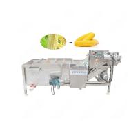 China Wholesale Fruit Vegetable Wash Machine Mini for sale