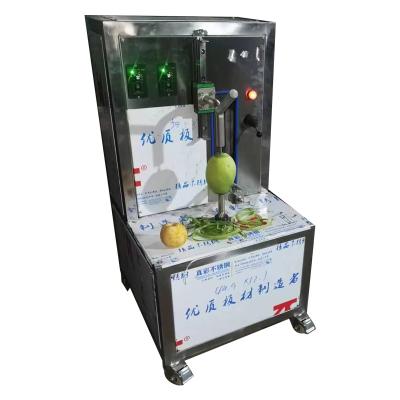 China Fruit And Vegetable Processing Full Automatic Vegetable Fruit Sorting Cutting Washing Drying Processing Vegetable Washing Line for sale