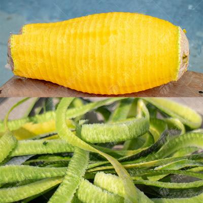 China Small Fruit Peeling Machine Stainless Steel Apple Core Removal Machine Pear Flapping Cutting Machine for sale