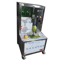 China Good Quality FRUIT&VEGETABLE PROCESSING SORTING WASHING MACHINE Potato Washing And Grading Sorting Machine for sale