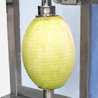 China Popular Peeling Prickly Pear Machine Automatic Jackfruit Peeling Machine for sale