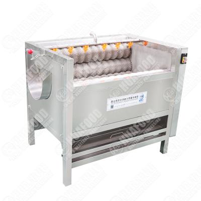 China Hot Selling Vegetable Rack Ce Approved for sale