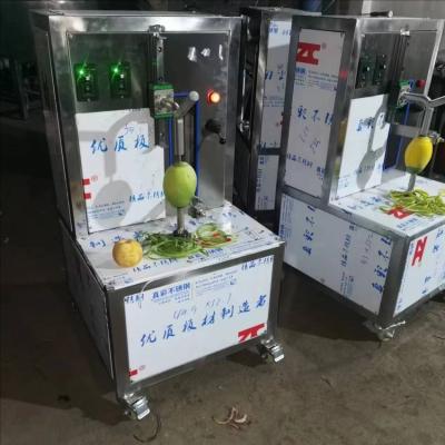 China Hot Selling Concentrated Mango Juice Pulp Making Machine Mango Peeler Kiwi Fruit Peeling Machine With Low Price for sale