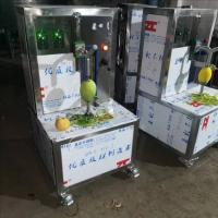 China Multi-Function Commercial Ginger Slicer Citrus Fruit Peeling Machine With High Quality for sale