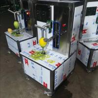 China Multi-Function Commercial Ginger Slicer Citrus Fruit Peeling Machine With High Quality for sale