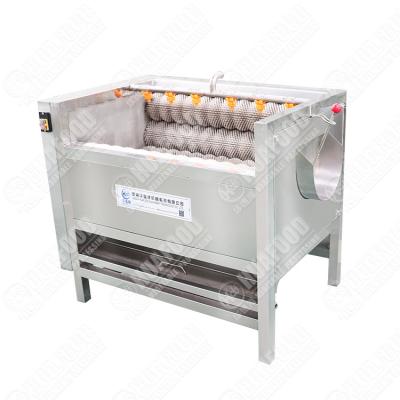 China High Quality Vegetable Nursery 2023 Top Sale for sale