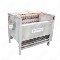 China Cheap Vegetable Curry Eco Friendly for sale