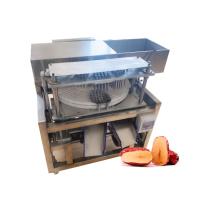 China Electric cherry pitting machine pitter cherry pit remove machine for sale