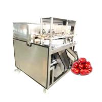 China Electric cherry pitting machine pitter cherry pit remove machine for sale