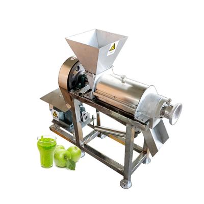 China ginger / apple / sugar cane juicer extractor for sale