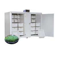 China Commercial booty sprout machine/sprout growing machine for sale