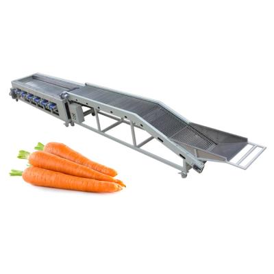 China Carrot Onion Potato Grading Machine Fruit And Vegetable Sorting Machine for sale