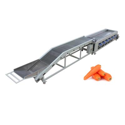 China Carrot Onion Potato Grading Machine Fruit And Vegetable Sorting Machine for sale