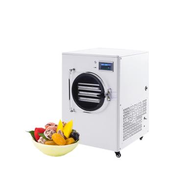 China New Design Equipment Household Fruit And Vegetable Freeze Dryer Industrial harvest right freeze dryer price for sale
