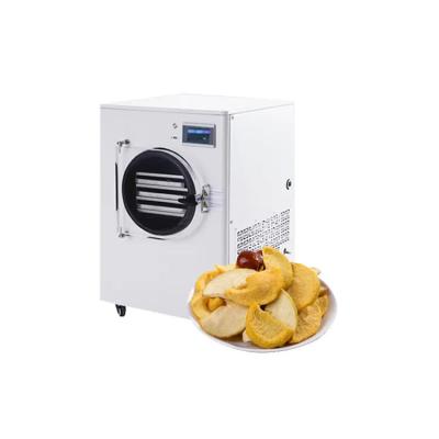 China New Design Food Fruit Vegetable Small Mini Lab Home Liofilizador Freeze Dryer Air Dryers With Great Price for sale