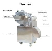China Multifunctional automatic frozen beef/chicken meat cube cutting machine for sale