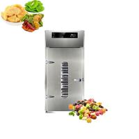 China Fruit drying machine industrial food dryer for sale