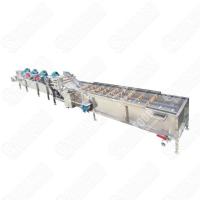 China Multifunctional Ozone Cleaner Fruit And Vegetable Bubble Washing Machine for sale
