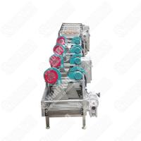 China Multifunctional Ozone Cleaner Fruit And Vegetable Bubble Washing Machine for sale