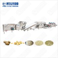 China Professional Fruit Processing Line Fruit And Vegetable Processing Machinery With CE Certificate for sale