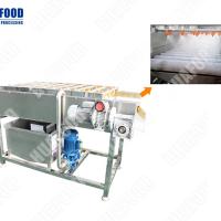 China Small Scale Fruit Vegetable Processing Line Commercial Use Pepper Chilli Ginger Washing Machine for sale