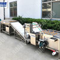 China Vortex Type Automatic Fruit Vegetable Washing Dehydrating Processing Line for sale