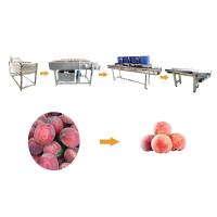 China Industrial Bubble Washing Machine Vegetable and Fruit Processing Line for Salad Vegetable Dehydrator for sale