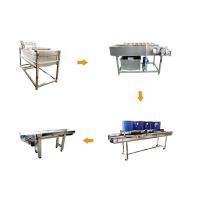 China Bubble Type Vegetable & fruit Washing Machine/cleaning Machine/washer/production Line for sale