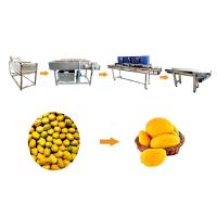 China fruits and vegetables cleaning processing line bubble washing machine for sale