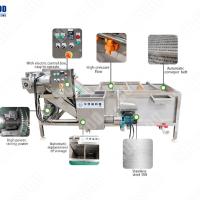 China fruits and vegetables cleaning processing line bubble washing machine for sale