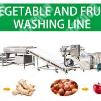 China Fruit and vegetable washing cleaning/waxing/drying/sorting machine line for sale