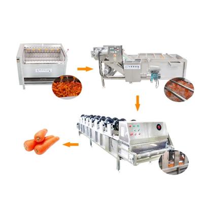 China orange sorting machine round fruits washing waxing drying sorting processing line for sale