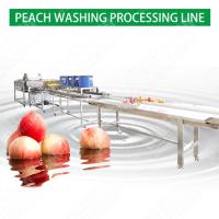 China Bubble water fruit vegetable washing leafy vegetable washer vegetable cleaning machine for sale