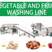 China Automatic Industrial Vegetable Slicing Multifunctional washing Machine Washing Cutting Peeling Processing Line for sale