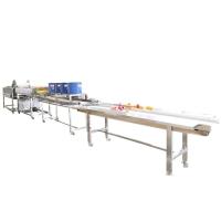 China Vegetables Processing Line Automatic Air Bubble Fruits Washing Machine Pumpkin Grape Washer for sale