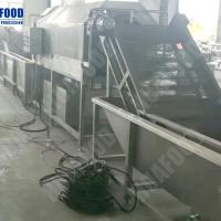 China Vegetables Processing Line Automatic Air Bubble Fruits Washing Machine Pumpkin Grape Washer for sale