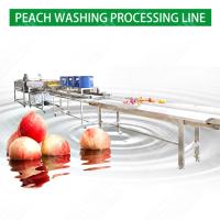 China Root vegetable washing peeling drying processing line for sale